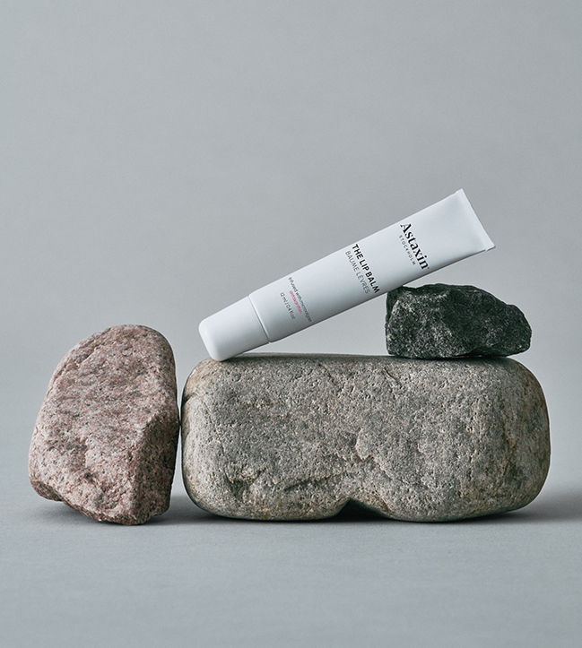 The Lip Balm - Astaxin